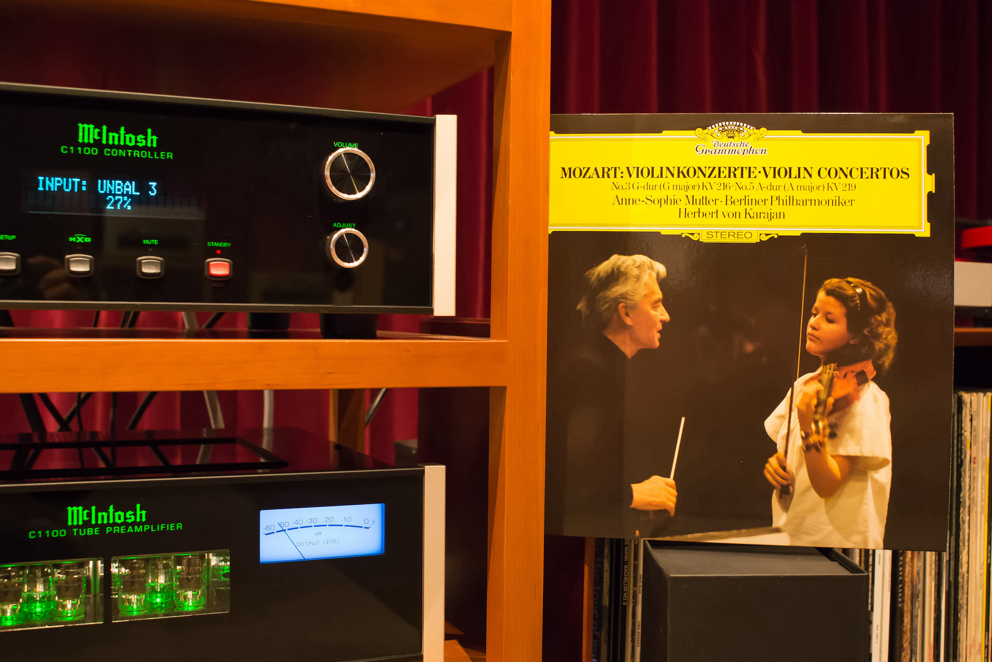 Mutter | Dynamicaudio 5555 3F